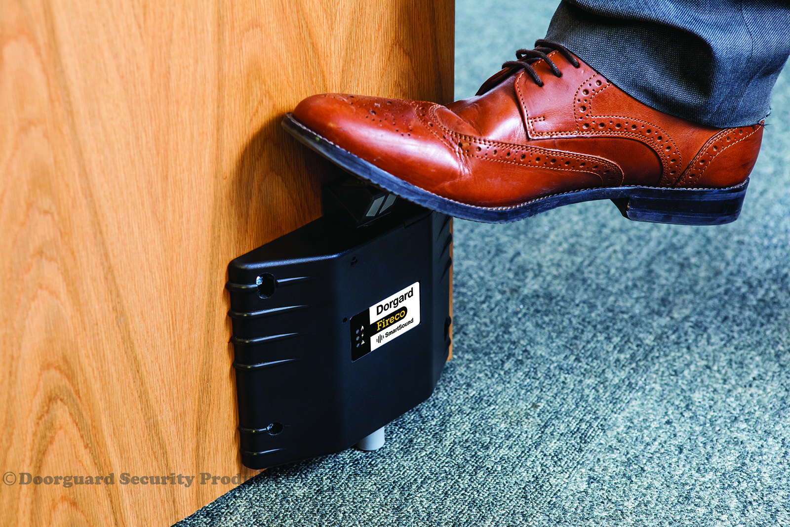 Dorgard SmartSound Acoustic Fire Door Retainer